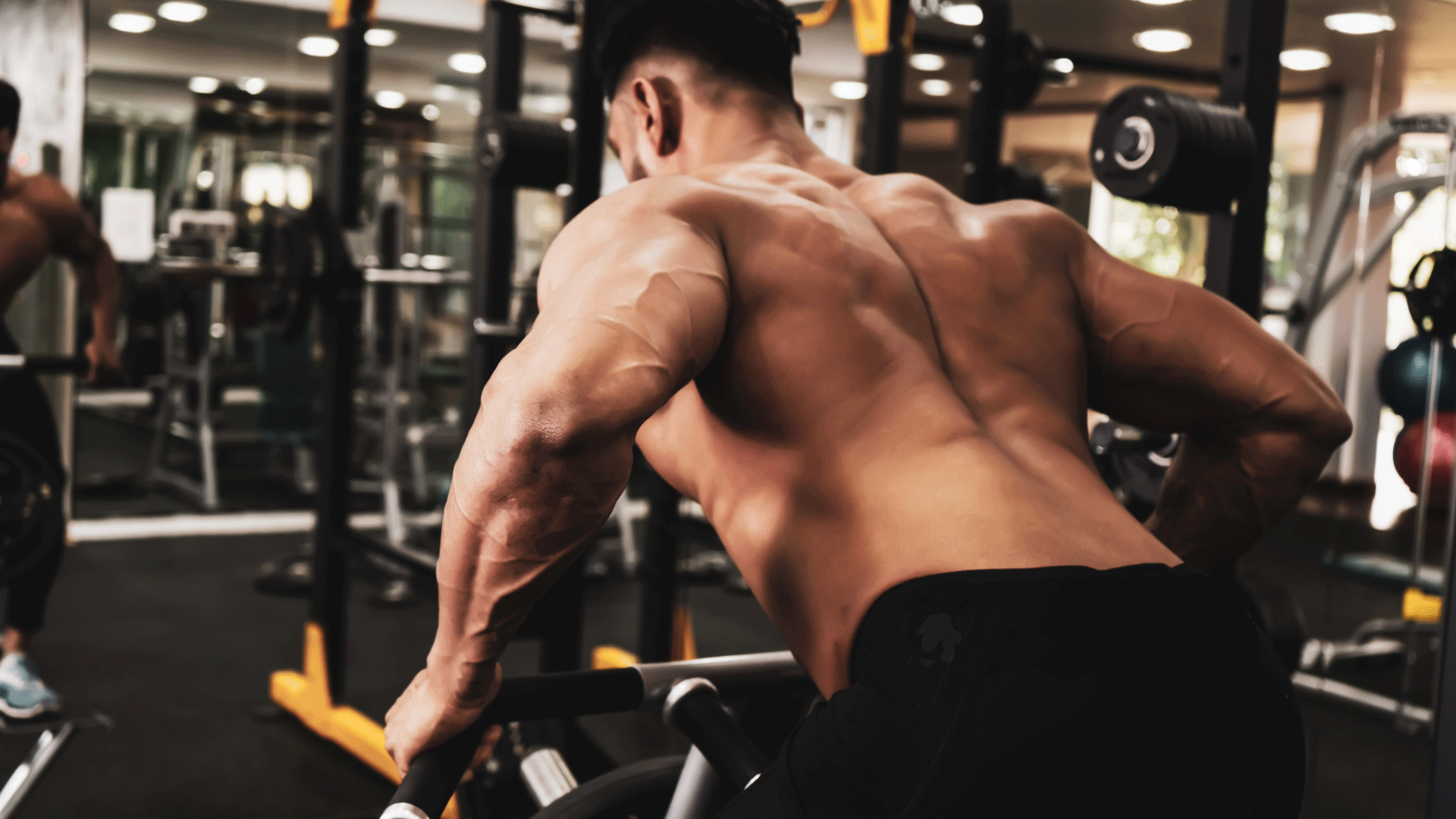 Build a Strong Back With the T-bar Attachment | Gym Concepts