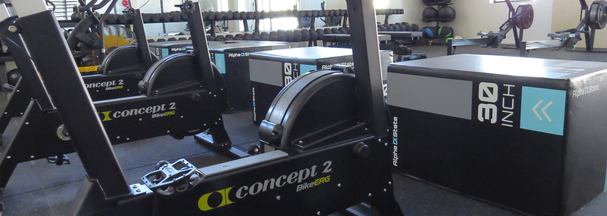 Cardio Gym Equipment