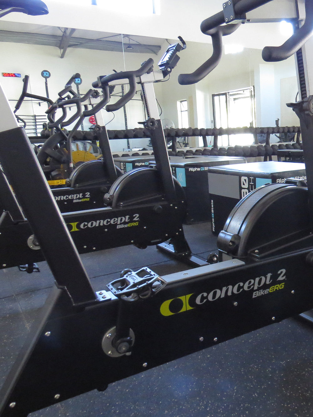 Cardio Equipment