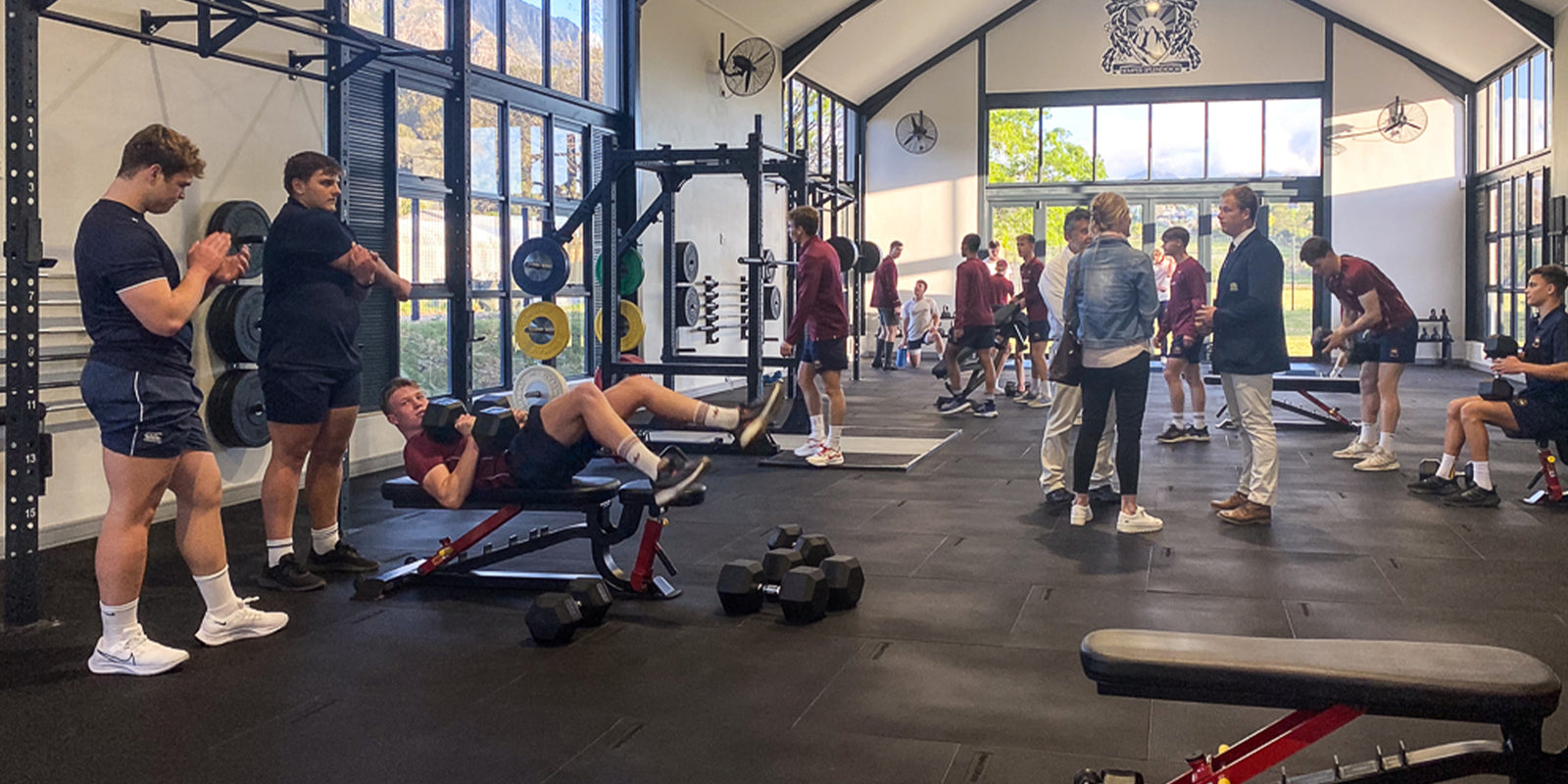 South Africa's Leading Gym Equipment Supplier | Gym Concepts